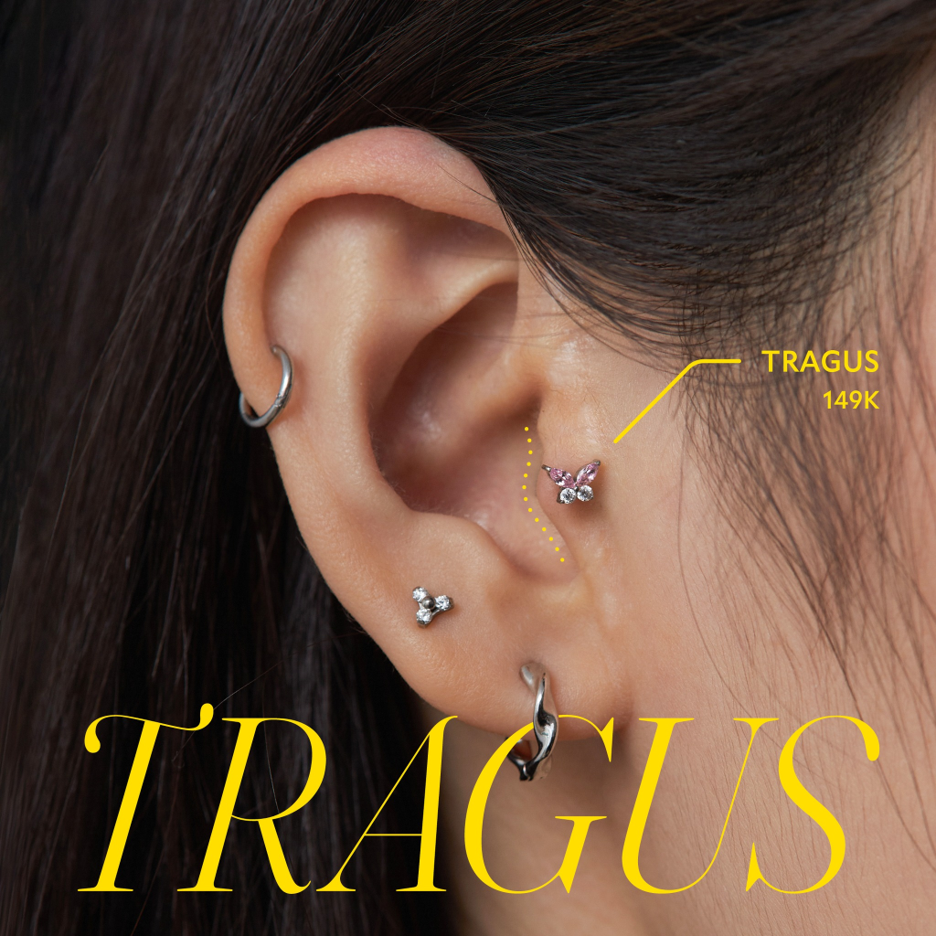 Có nên xỏ khuyên Tai con (Tragus) hay không? Cách vệ sinh lỗ xỏ Tragus ...